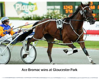 ACE BROMAC DELIVERS AT GLOUCESTER PARK - News - Bromac Lodge
